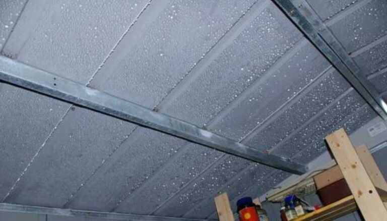 How to Minimize Condensation in Metal Sheds: Effective Tips and ...
