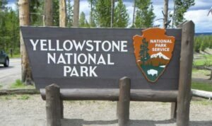 5 Advantages of Brown Signs in National Parks - Upbeat Geek