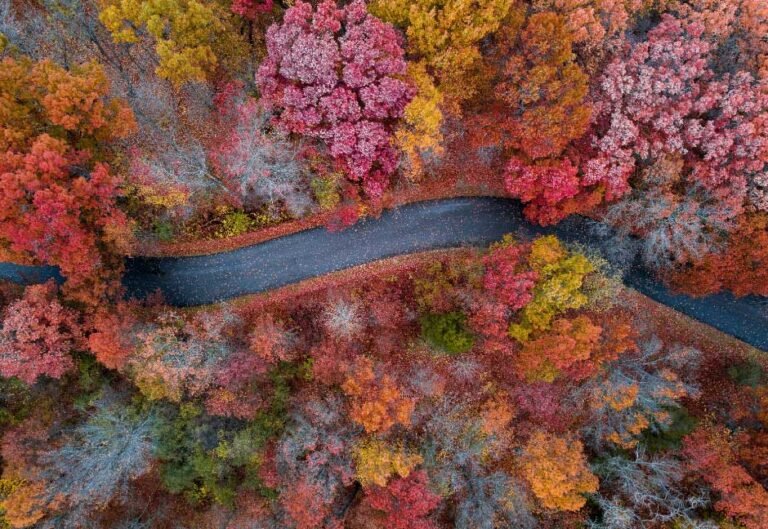 5 Fun Travel Experiences You Should Try in Michigan - Upbeat Geek