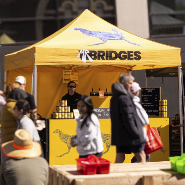 13×26 Canopy Setup Tips and Maintenance Tricks You Need to Know