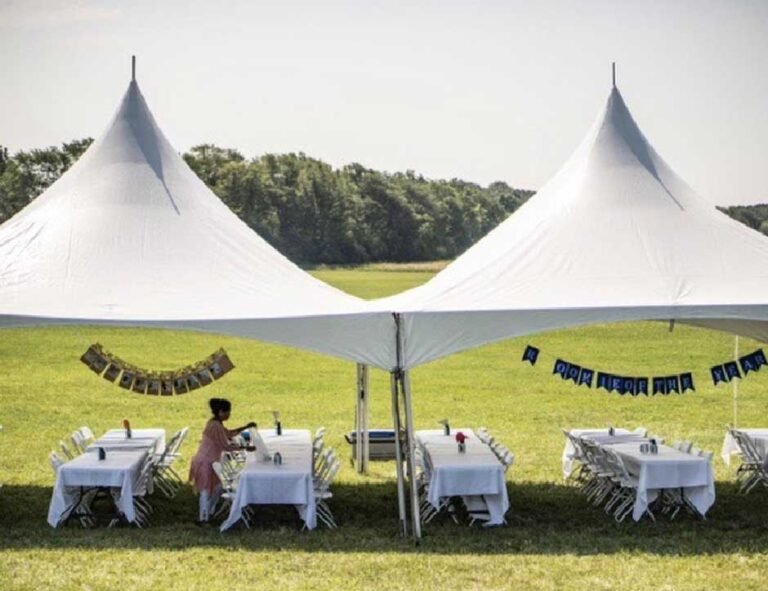 Why No Great Outdoor Event Happens Without a Party Event Tent & a Pro ...