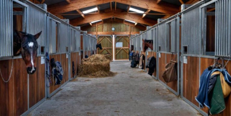 Easy Barn Maintenance Tips for Beginners - Upbeat Geek