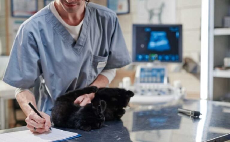 How Can You Vet a Clinic’s Safety Protocols Before Scheduling a ...