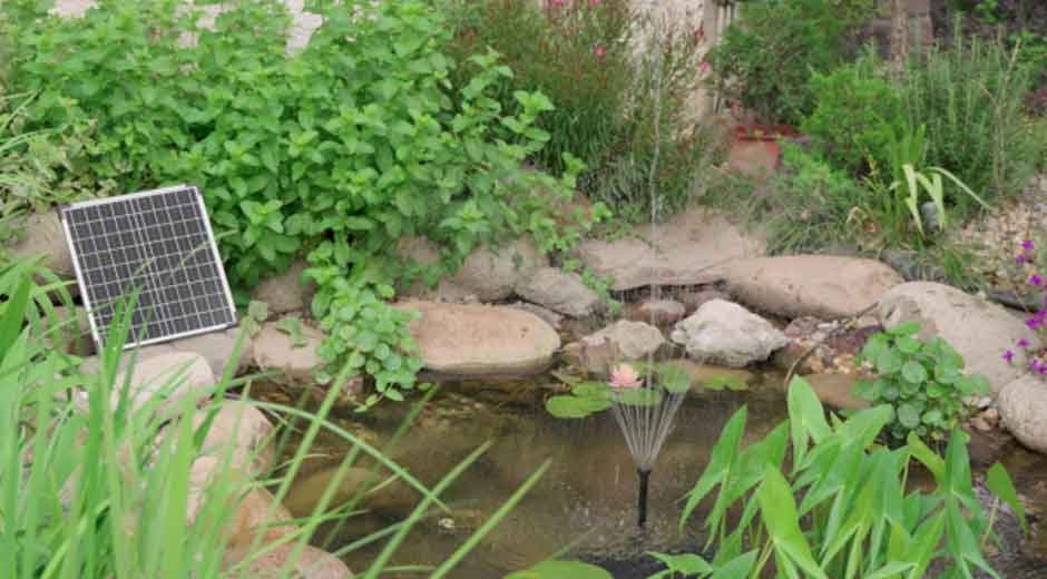 When Sunlight Meets Water: Understanding the Purpose of Solar Panel ...